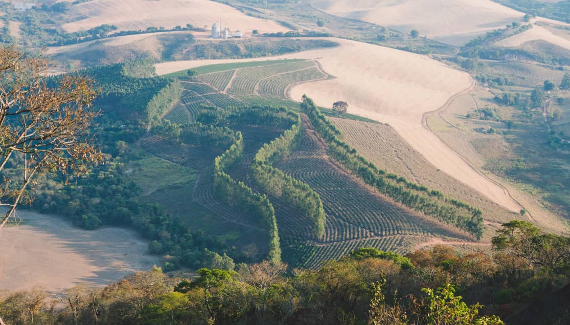 Impact of Growing Altitude on Coffee | Bruvi