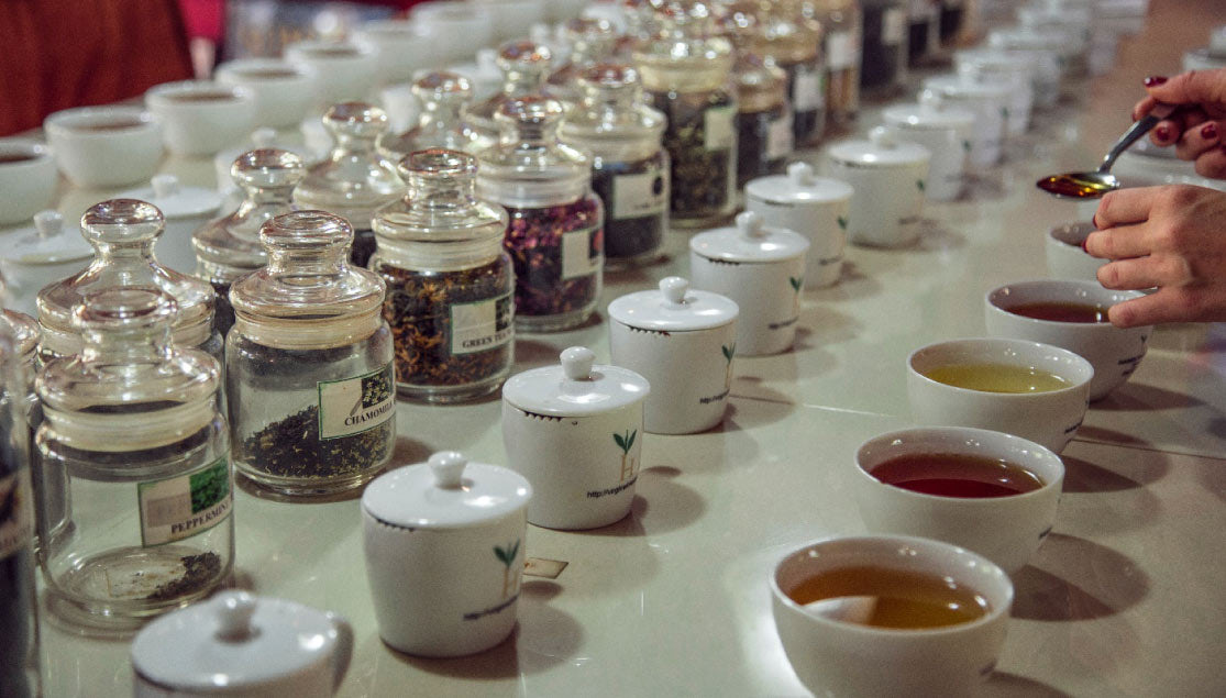 The History and Culture of Tea | Bruvi Blog