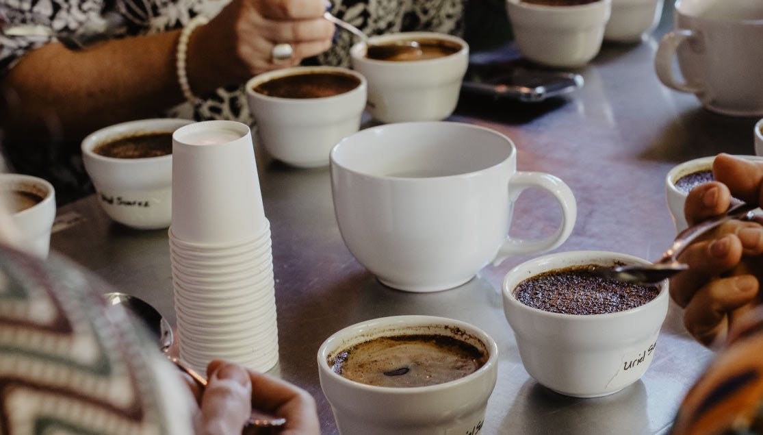 A Beginner's Guide to Coffee Tasting: How to Develop Your Palate – Bruvi