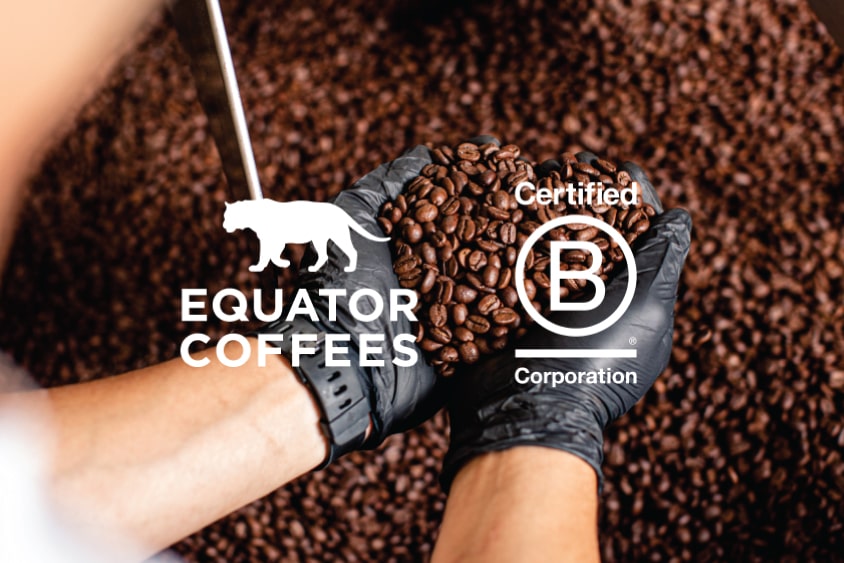 Equator Coffees – Bruvi